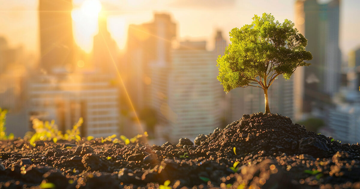 Spring’s Champion of Social Value: Terry Hall (Coyle Construction ...